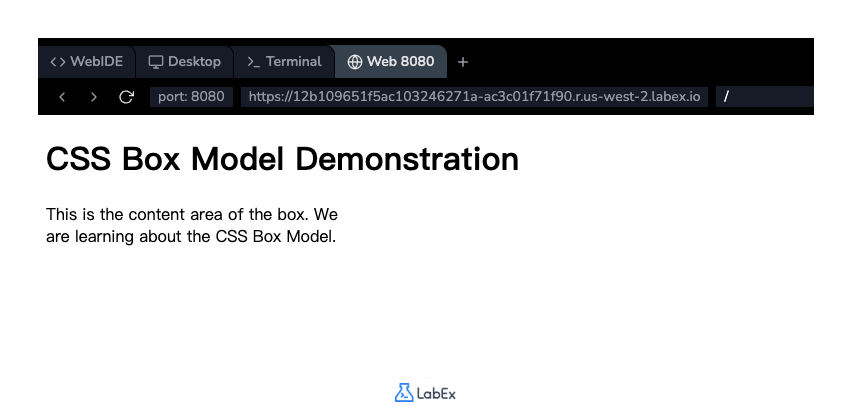 CSS Box Model: Größen und Abstände meistern | LabEx