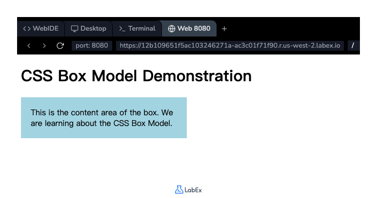 CSS Box Model: Größen und Abstände meistern | LabEx