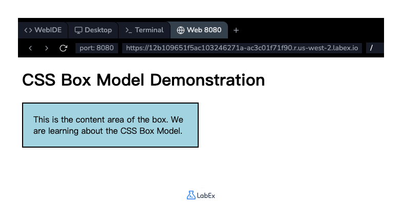 CSS Box Model: Größen und Abstände meistern | LabEx