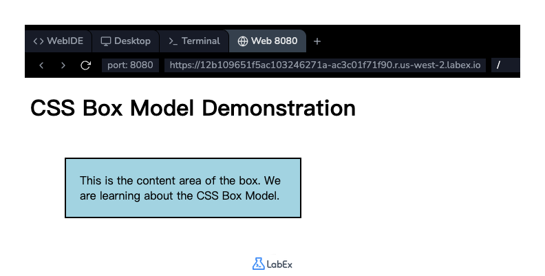 CSS Box Model: Größen und Abstände meistern | LabEx