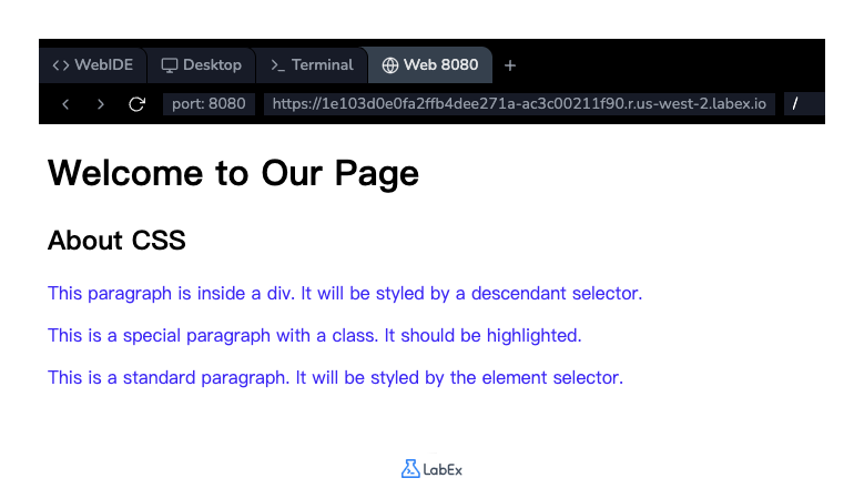 CSS Selectors: Master Basic Styling Techniques | LabEx
