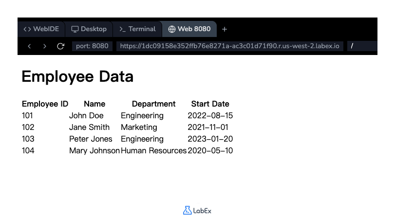CSS 表格样式：学习如何设置 HTML 表格样式 | LabEx