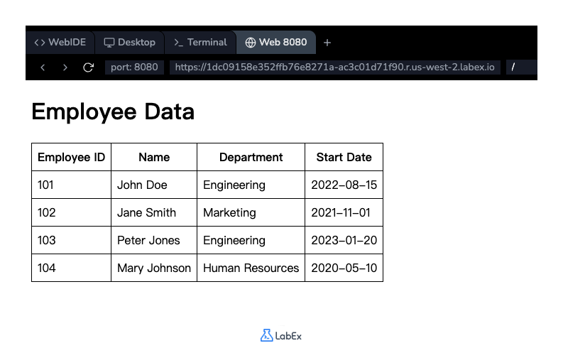 CSS 表格样式：学习如何设置 HTML 表格样式 | LabEx