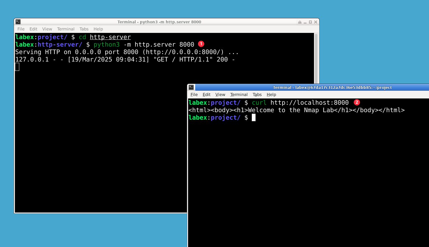 Apprendre l'installation et l'utilisation de base de Nmap | LabEx