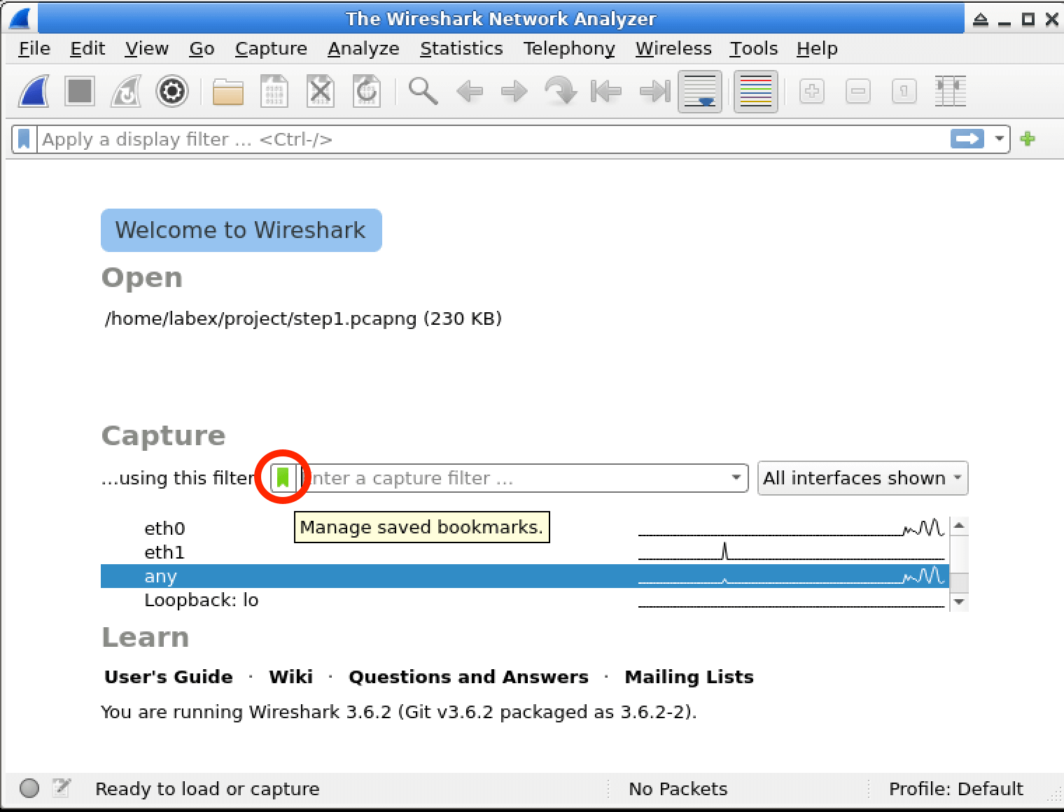 Apply Wireshark Capture Filters for Network Traffic Analysis | LabEx Apply Wireshark Capture Filters for Network Traffic Analysis | LabEx