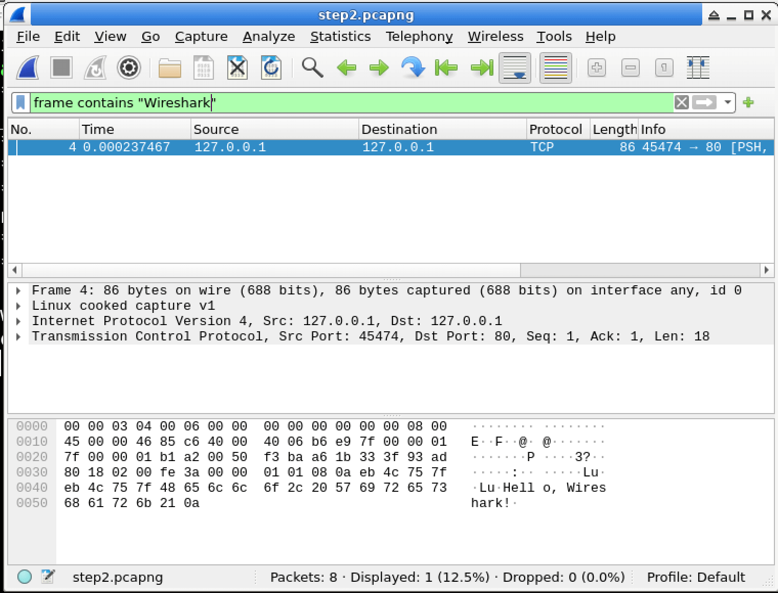 Apply Wireshark Capture Filters for Network Traffic Analysis | LabEx