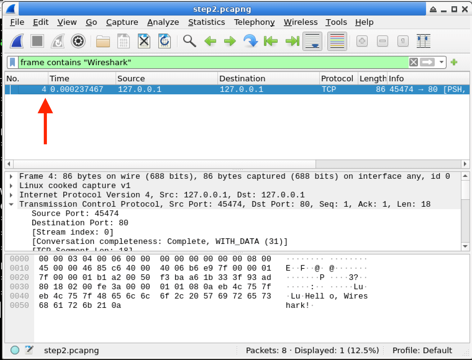 Apply Wireshark Capture Filters for Network Traffic Analysis | LabEx Apply Wireshark Capture Filters for Network Traffic Analysis | LabEx