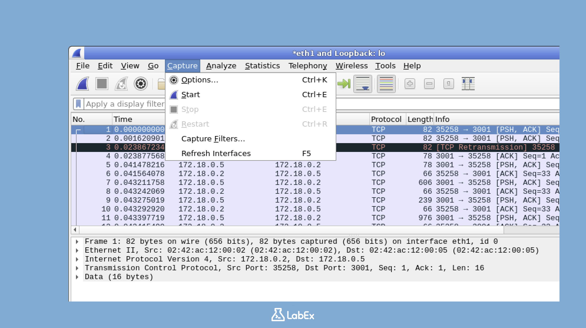 Explore and Customize Wireshark Interface | LabEx