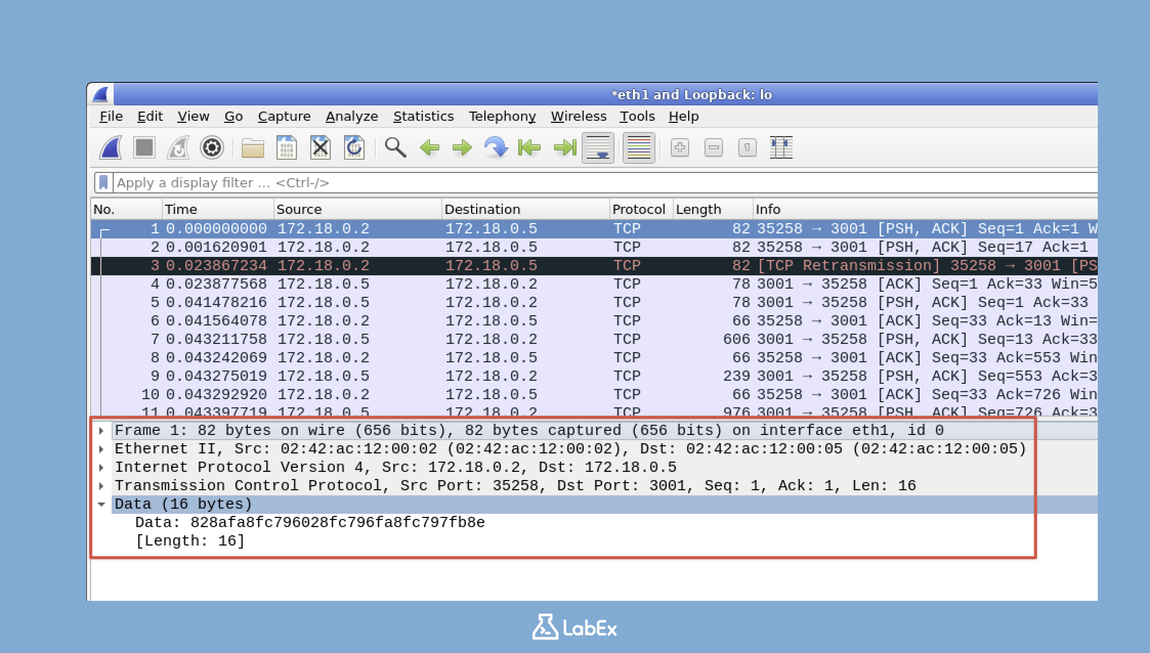 Explore and Customize Wireshark Interface | LabEx