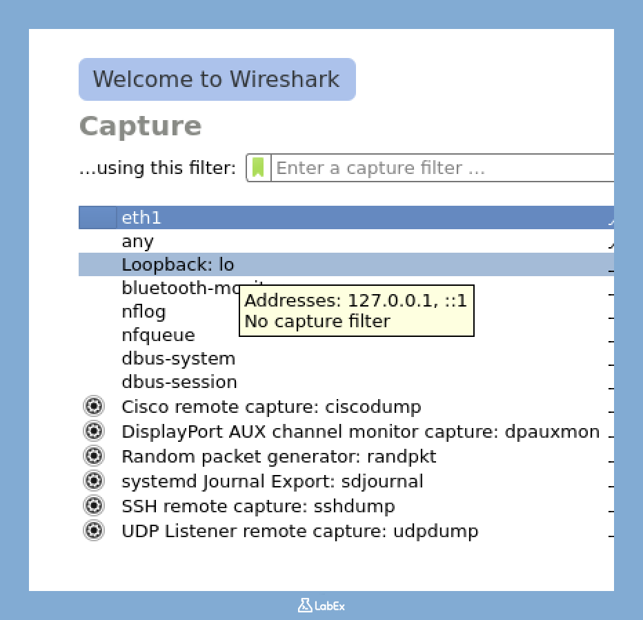 Explore and Customize Wireshark Interface | LabEx