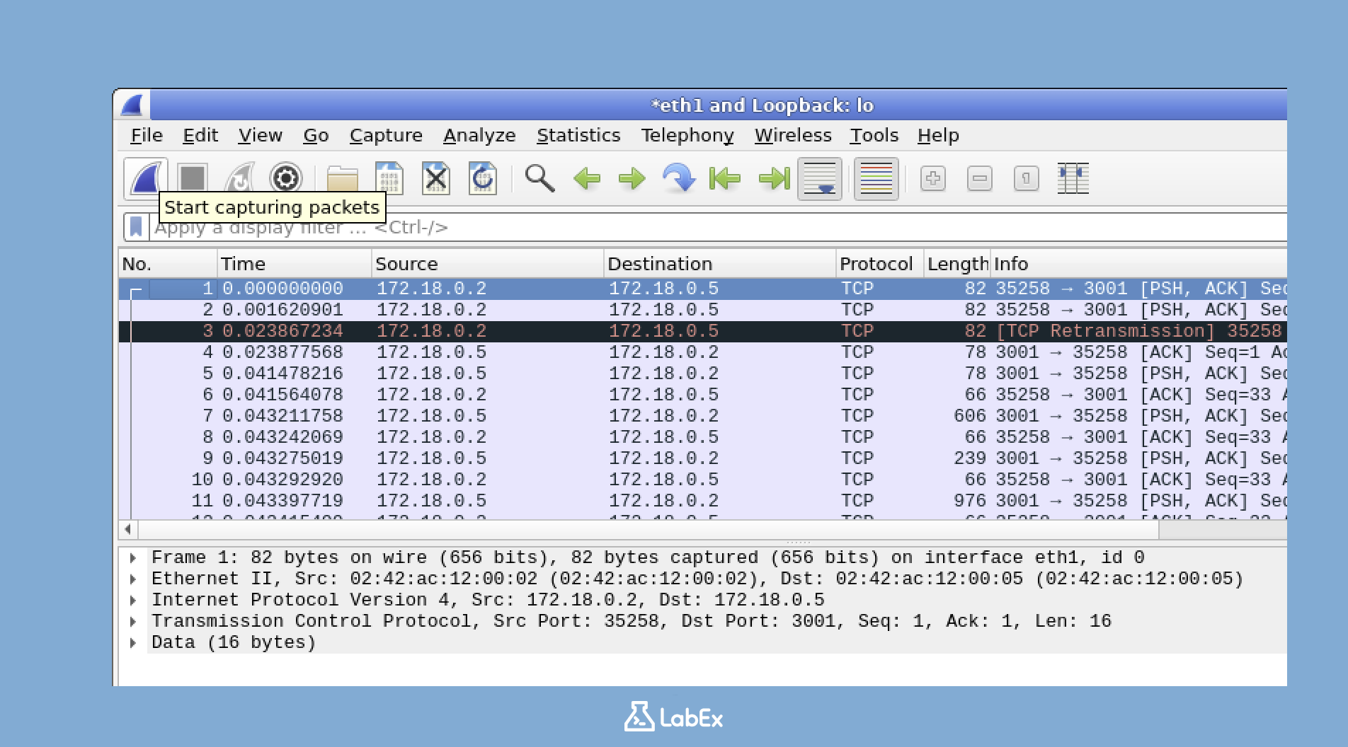 Explore and Customize Wireshark Interface | LabEx