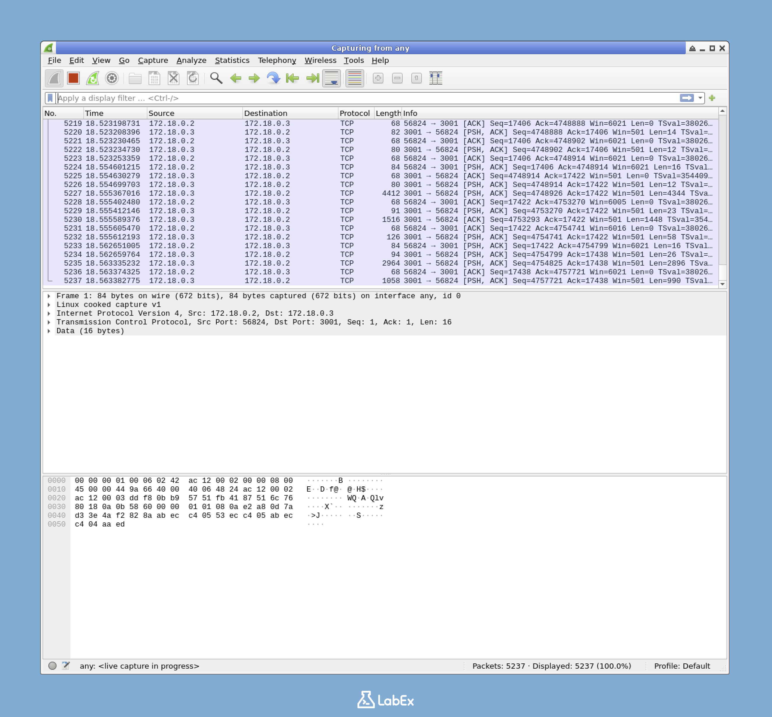 Analyze IPv6 Traffic with Wireshark | LabEx
