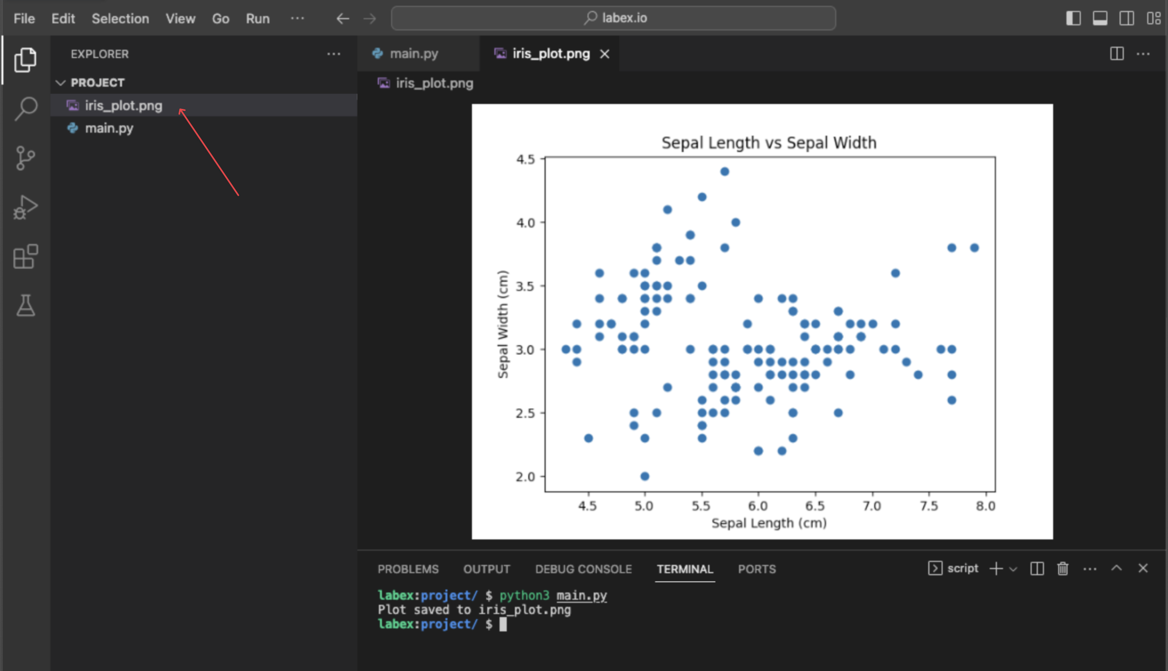 Load and Explore Datasets in scikit-learn | LabEx