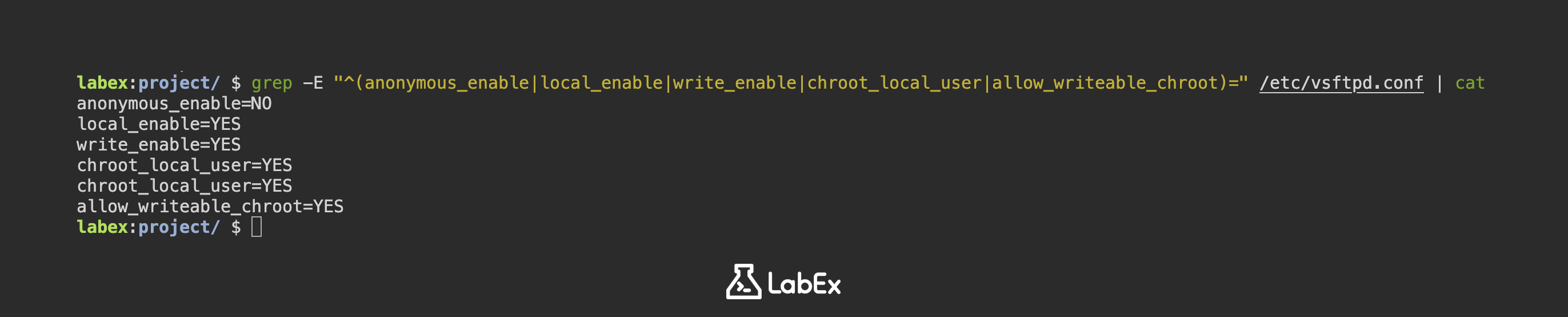 Attack FTP Services with Hydra | LabEx
