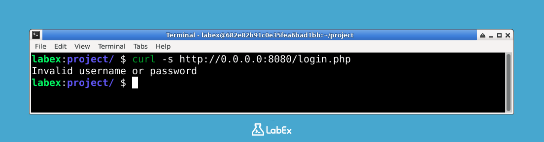Explore Hydra Module-Specific Options | LabEx