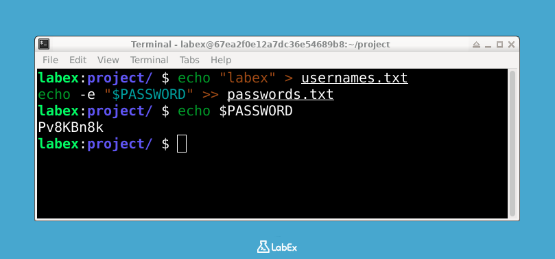Learn Basic Hydra Commands | LabEx