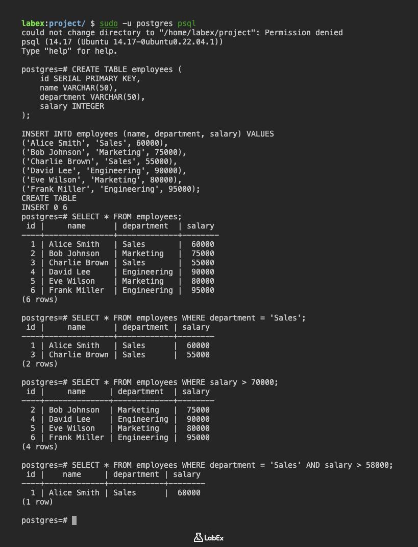 PostgreSQL データフィルタリングと簡単なクエリ | データ抽出 | LabEx