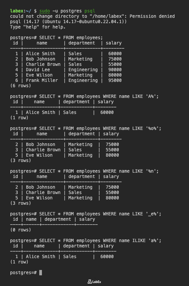 PostgreSQL 数据过滤和简单查询 - WHERE, LIKE, ORDER BY | LabEx