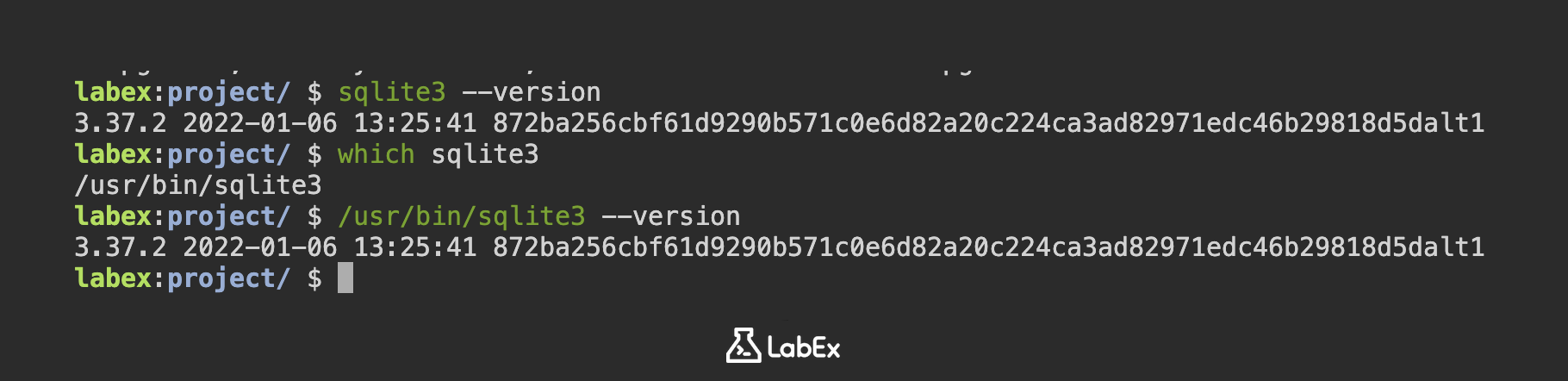 Setting Up SQLite in Linux | LabEx