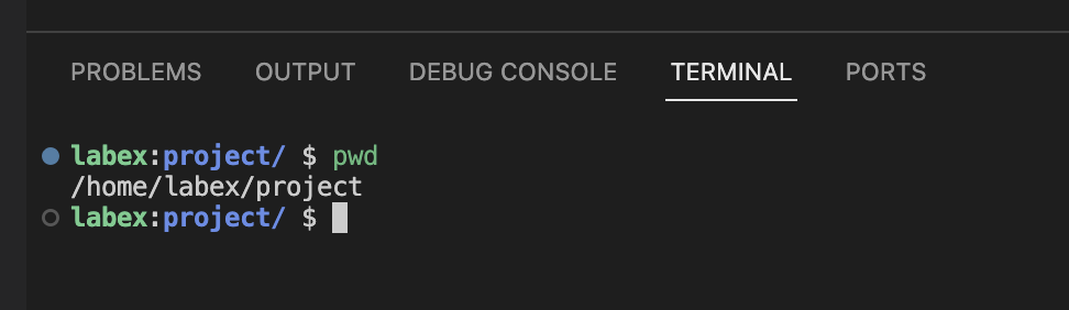 Create User Input Program in C | LabEx