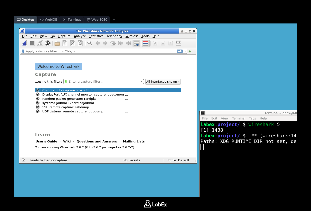 Filter Traffic in Wireshark | LabEx