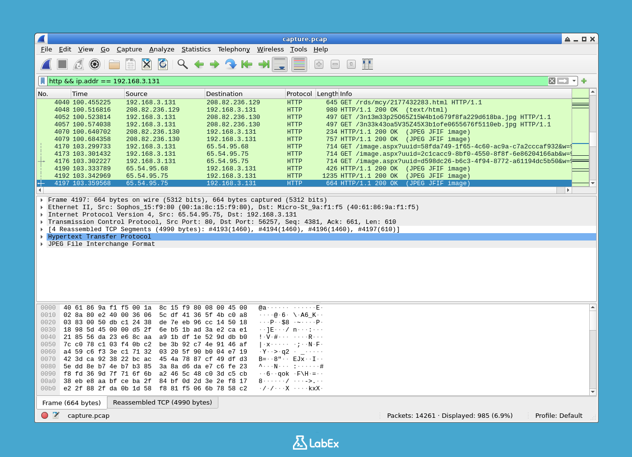 Filter Traffic in Wireshark | LabEx