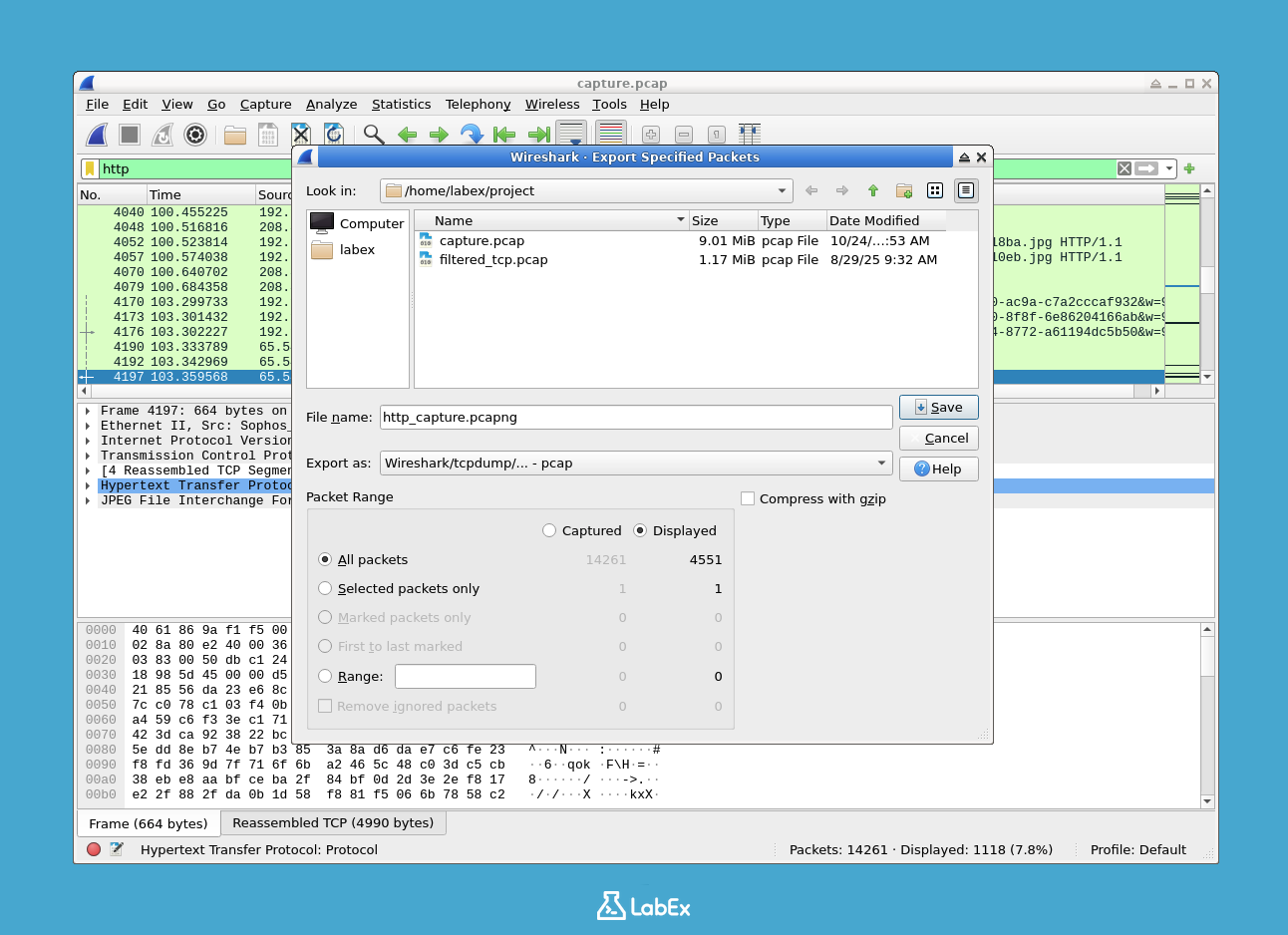 Filter Traffic in Wireshark | LabEx