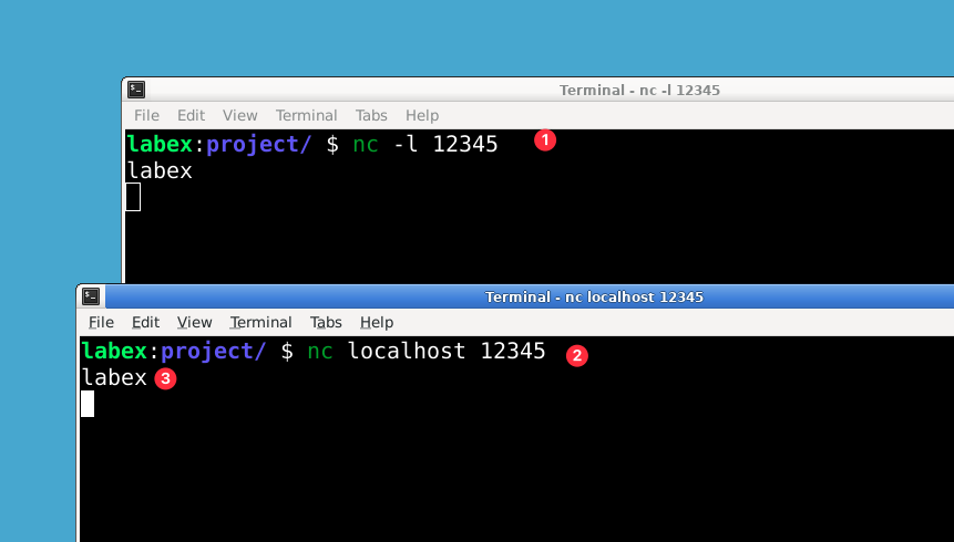 使用 Netcat 进行简单的网络通信 | LabEx