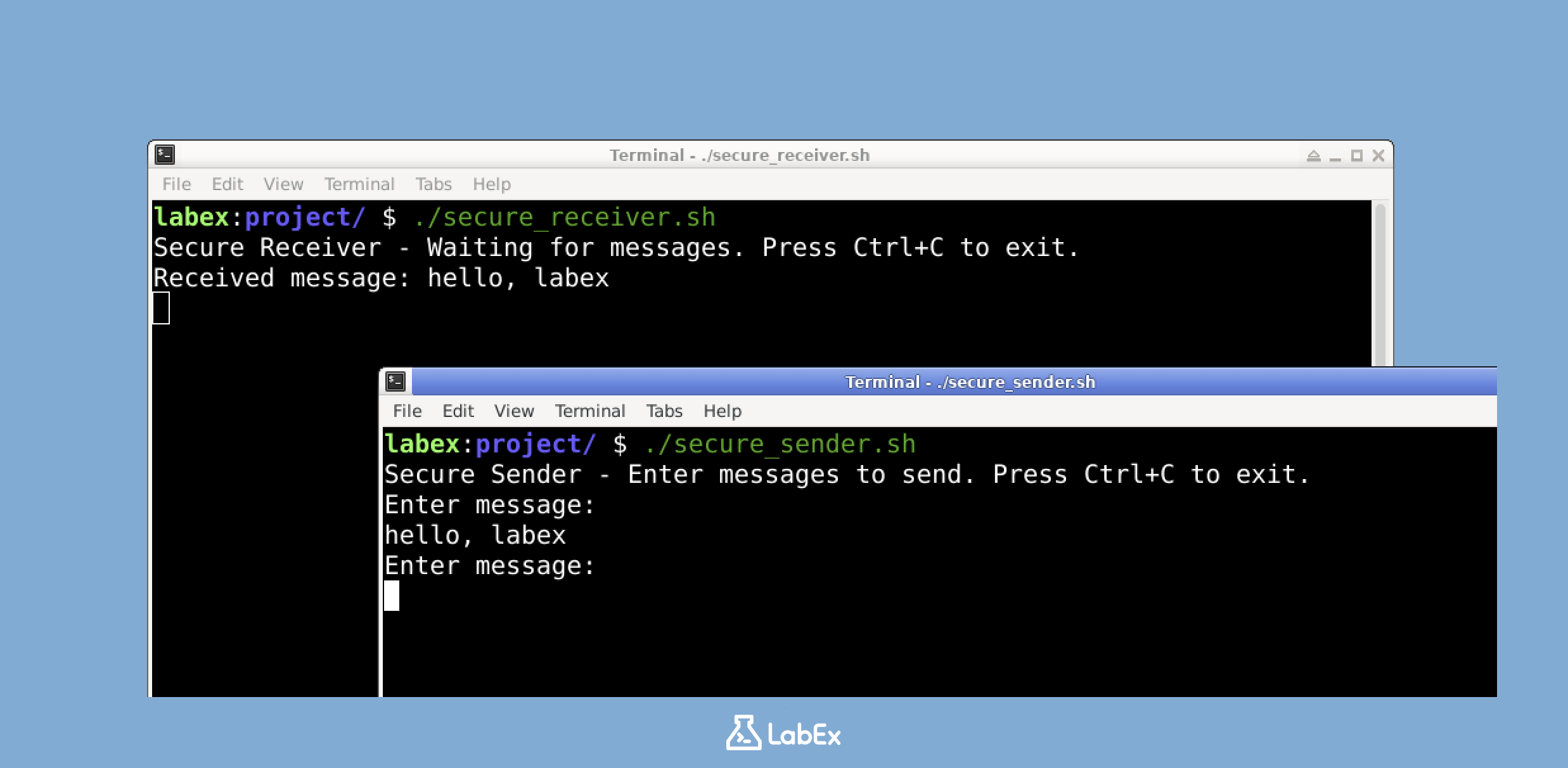 使用 Netcat 进行简单的网络通信 | LabEx