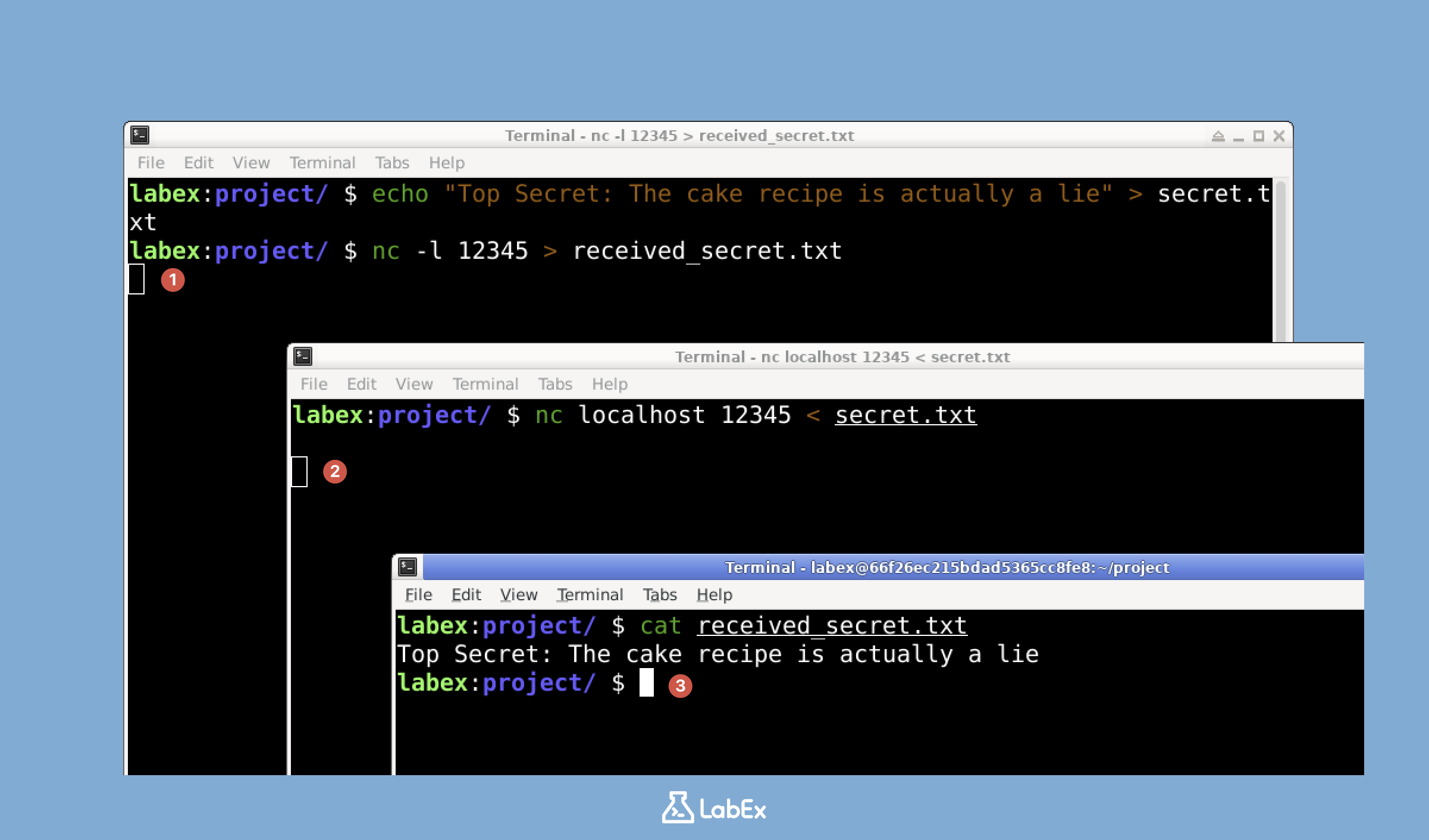 使用 Netcat 进行简单的网络通信 Labex
