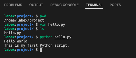 Python 开发工具：交互模式、IPython、Vim 和 IDLE 实践指南 | LabEx