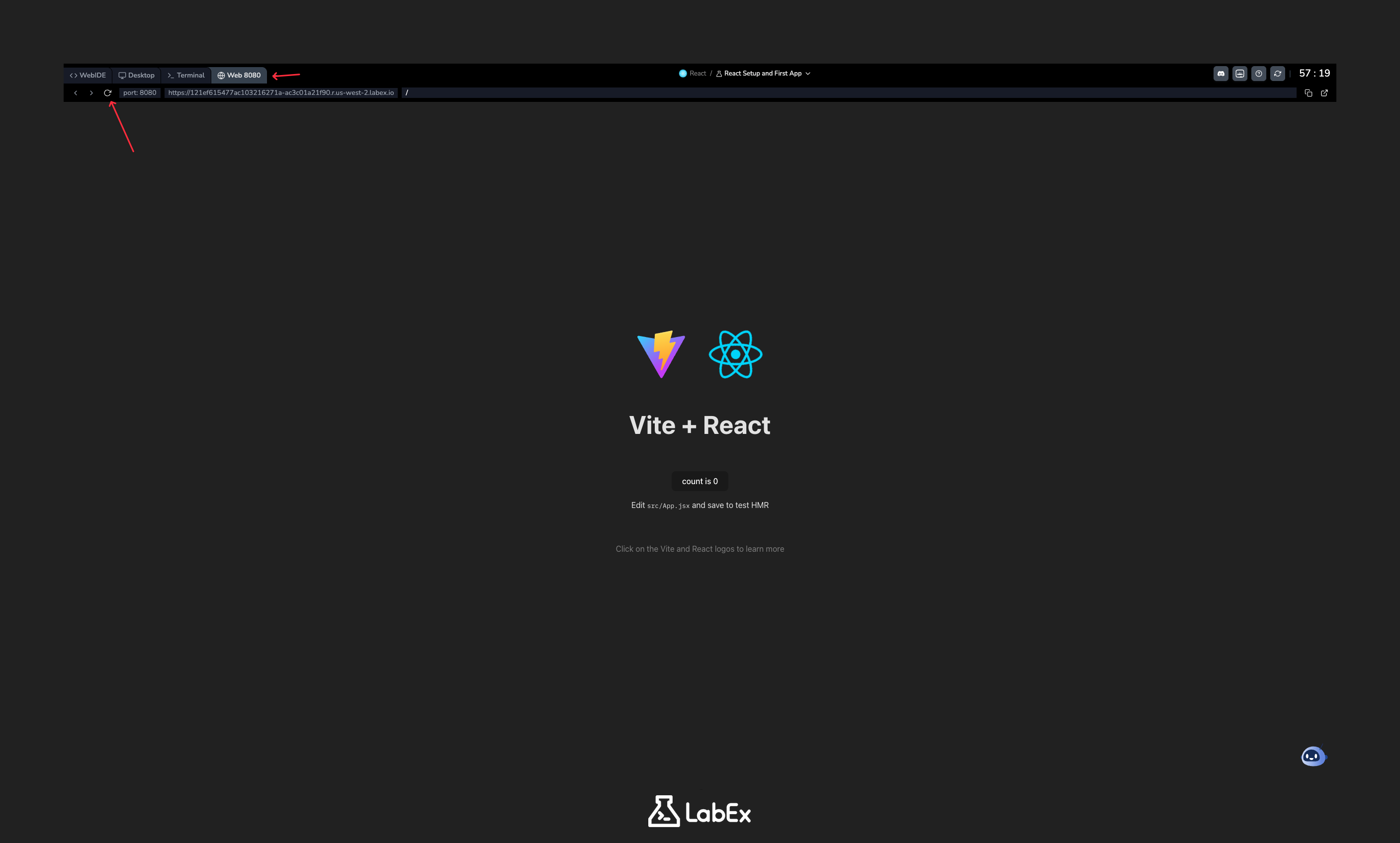 React Project Setup: Create and Run Your First App with Vite | LabEx