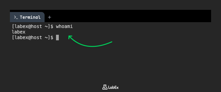 Access Command Line in Red Hat Enterprise Linux | LabEx